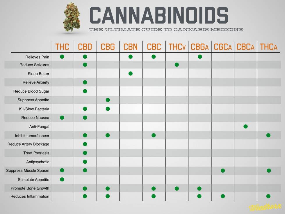Kannabinoidy Znajduj ce Si W Cannabis O Marihuanie Konopiach Indyjskich Kannabinoidy Znajduj ce Si W Cannabis O Marihuanie Konopiach Indyjskich